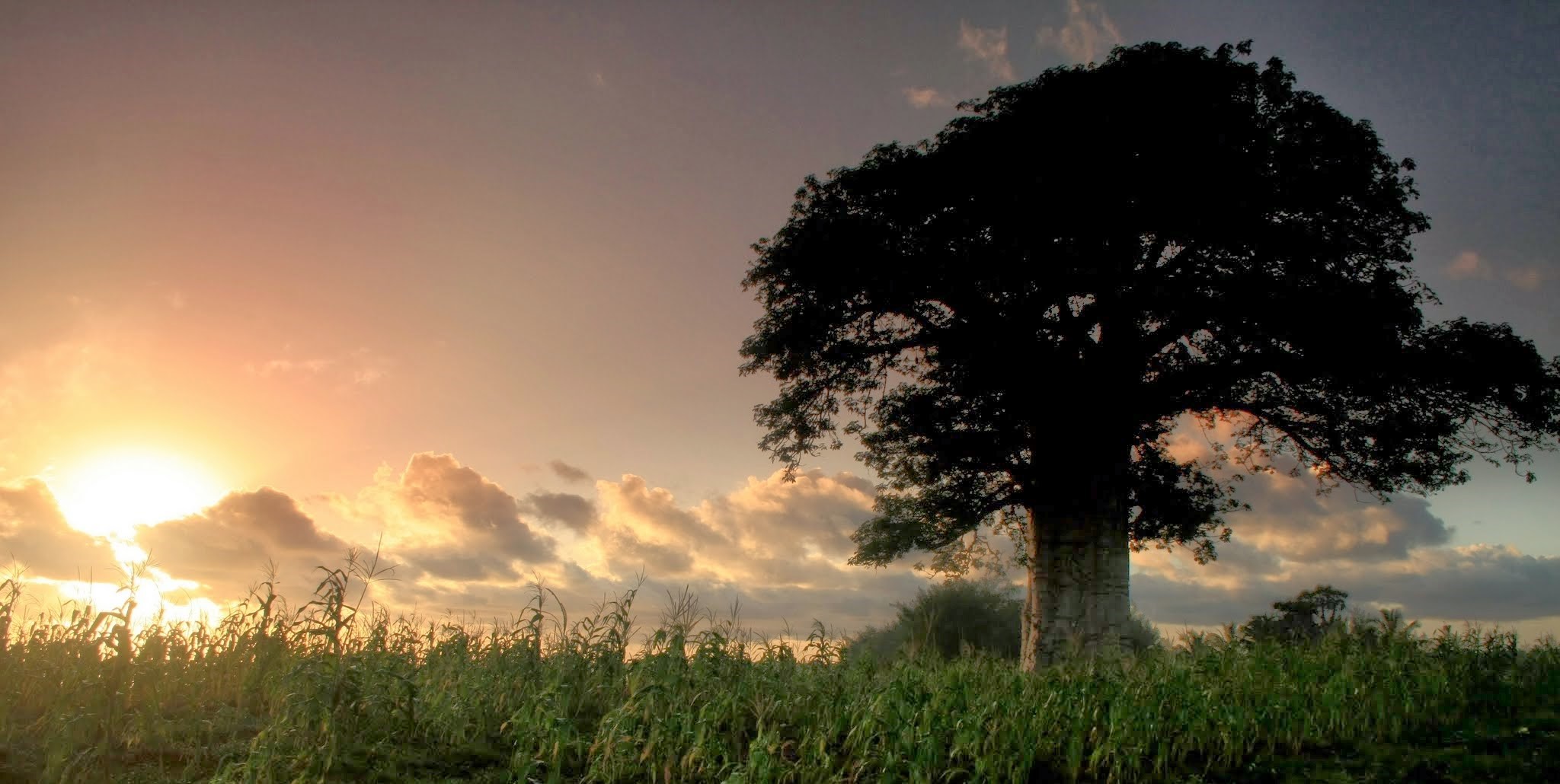 How Do I Live As a Christian in America? | Amy Medina